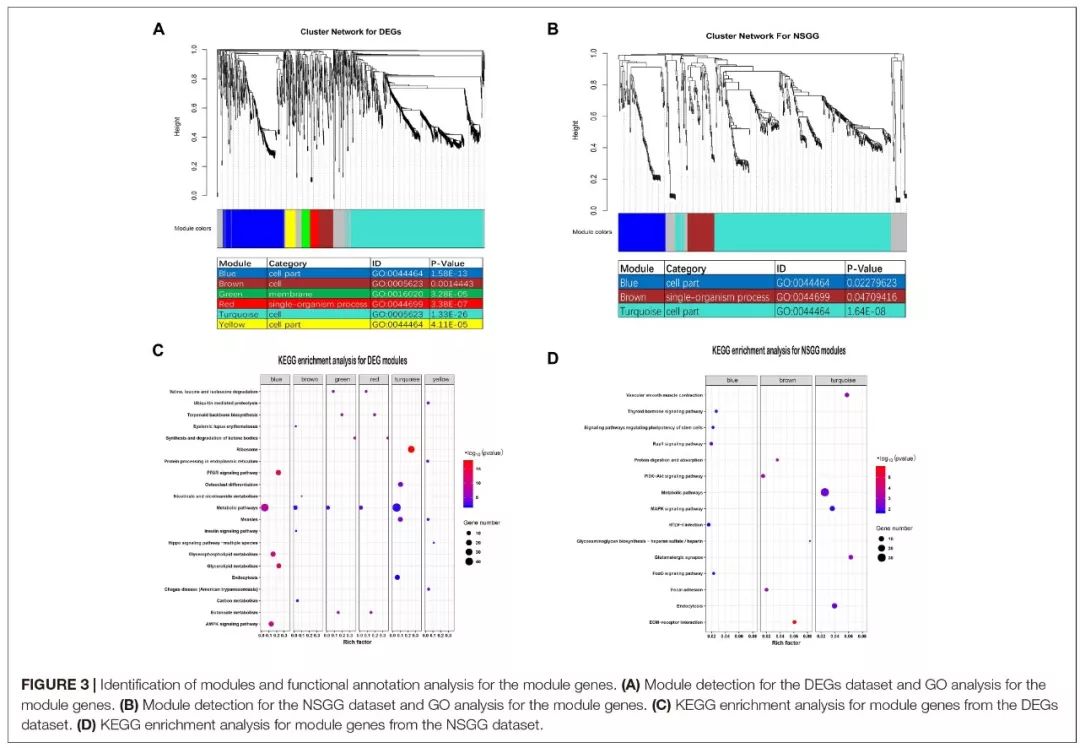 GWAS+WGCNA分析——微效多基因控制的数量性状定位的好方法__凤凰网
