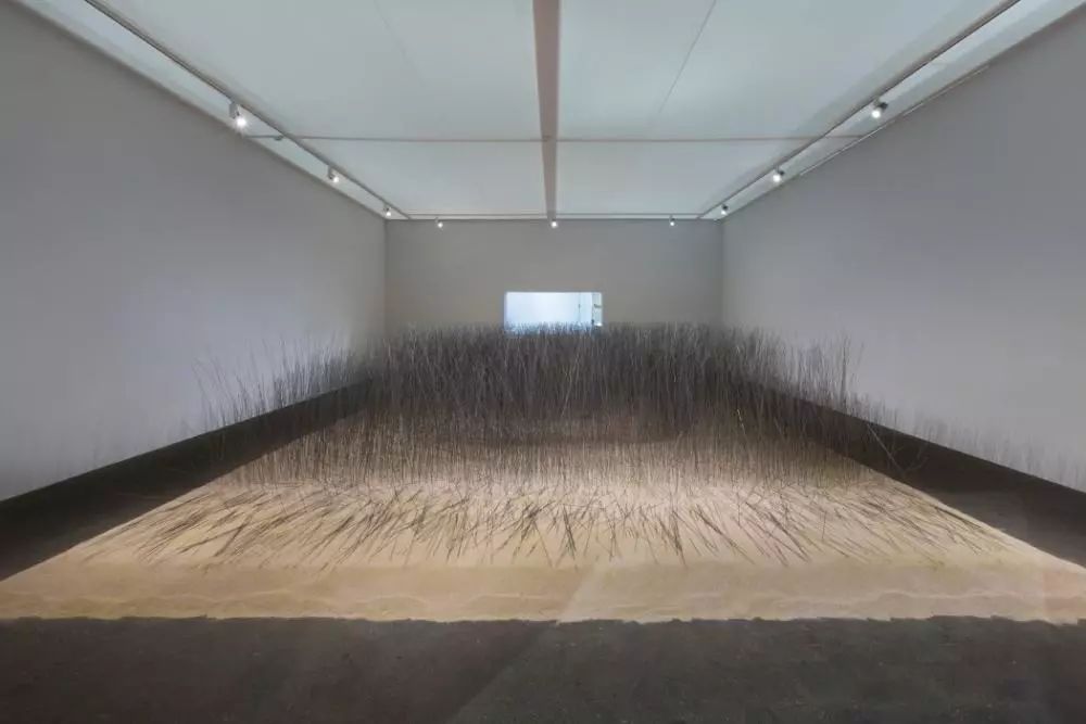 大艺术家 | 李禹焕：我是本学派的头号anti__凤凰网