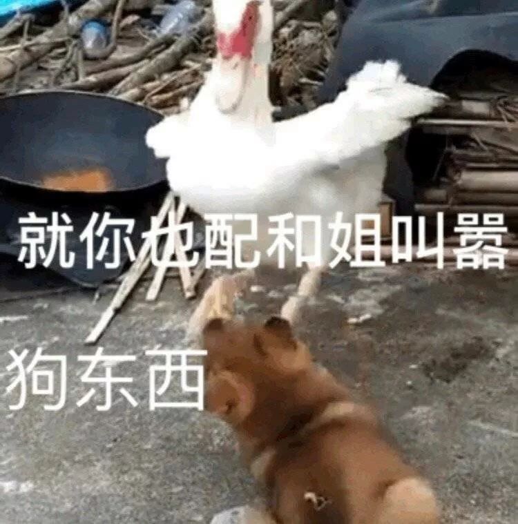 据说这个星座是重度抖m体质:你对我越凶我就越喜欢!凤凰网