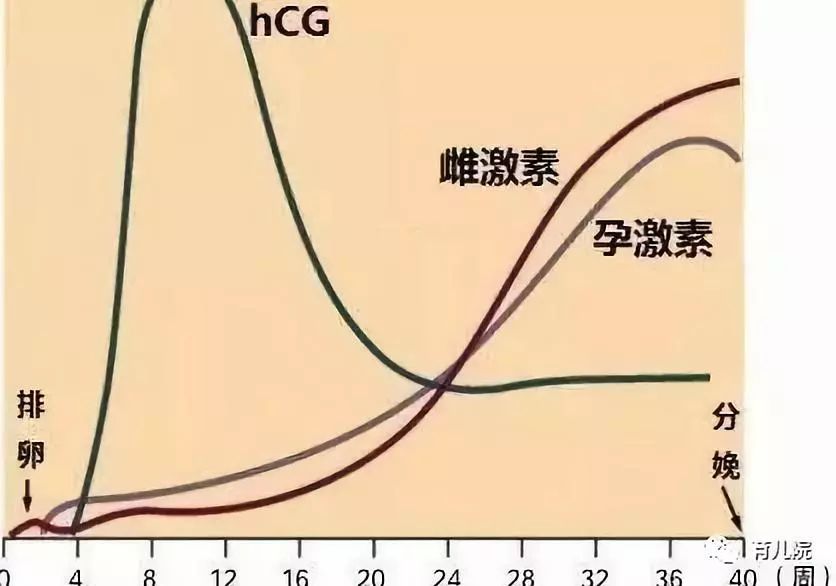 怀孕后HCG值和孕酮值有多重要？什么情况要用黄体酮保胎？__凤凰网