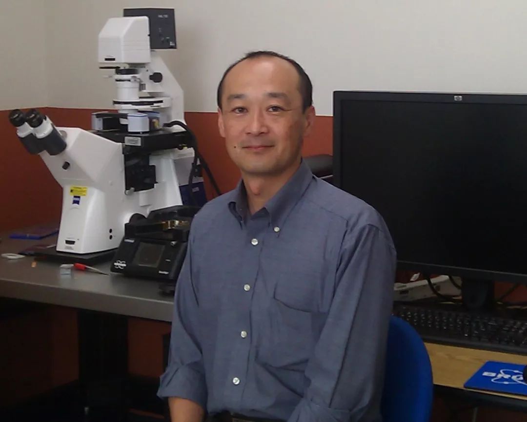 表面活性剂诱导的马铃薯果胶-蛋白质结合物从气-水界面的竞争置换__凤凰网