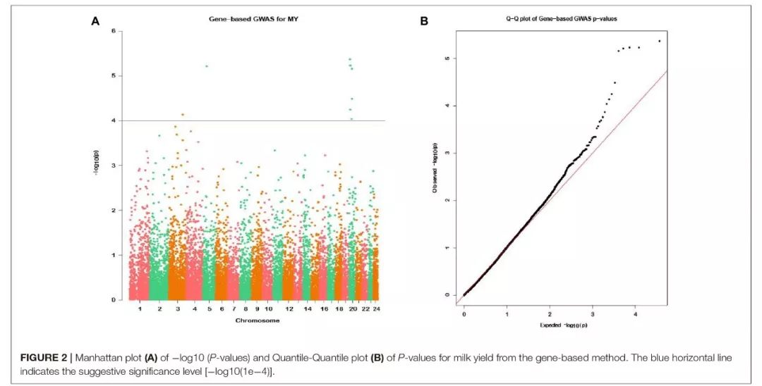 GWAS+WGCNA分析——微效多基因控制的数量性状定位的好方法__凤凰网