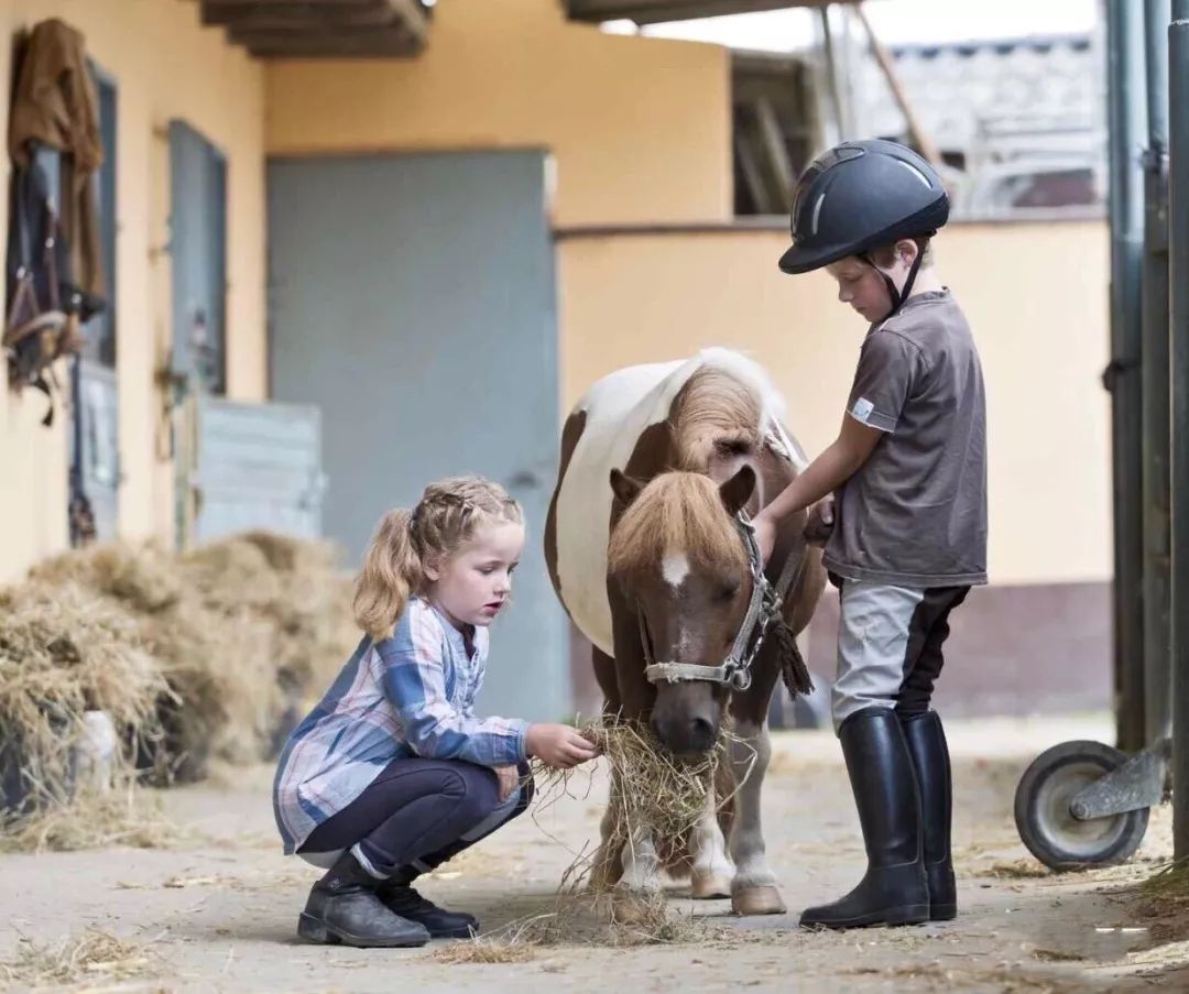 Pony小马大作为__凤凰网