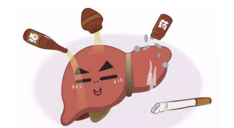 肝毒太深,五个部位有 预兆”,护肝排毒,坚持 六个一”凤凰网