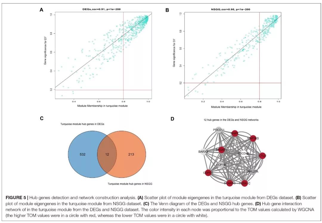 GWAS+WGCNA分析——微效多基因控制的数量性状定位的好方法__凤凰网