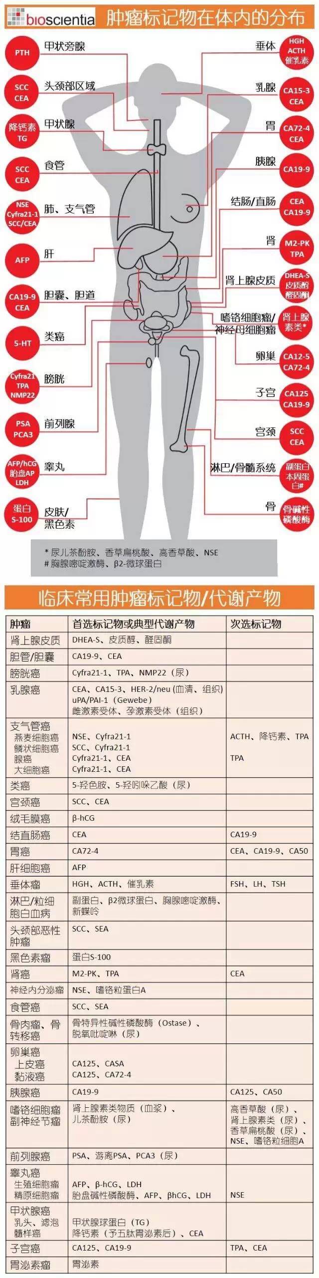 肿瘤标志物升高，就是得癌了？｜爷爷患癌，父亲也患癌，看到检查结果，他的腿都软了凤凰网