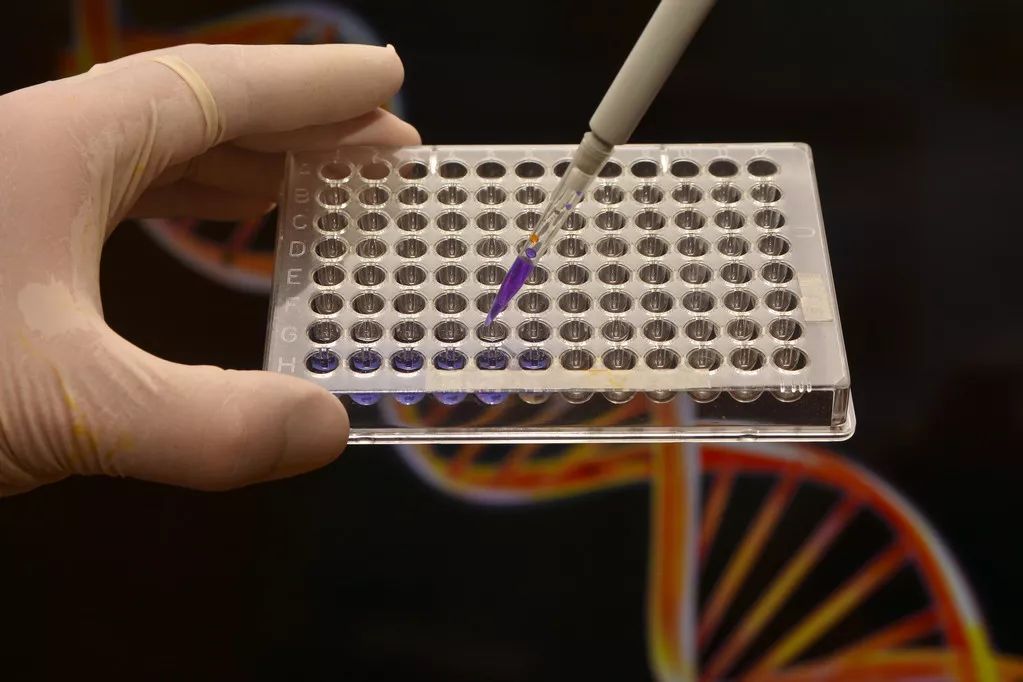 一文带你读懂基因检测核心技术——PCR__凤凰网