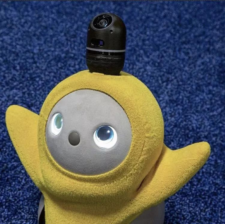 这里是公元2019年，谁还没个AI当朋友：）__凤凰网