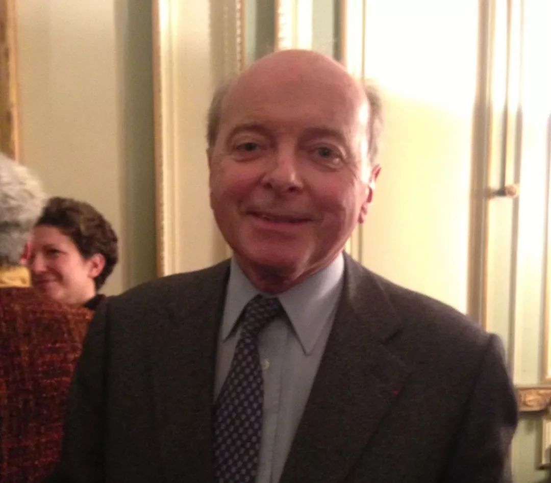 法国警察镇暴球弹枪造成严重伤害，人权专员叫停__凤凰网