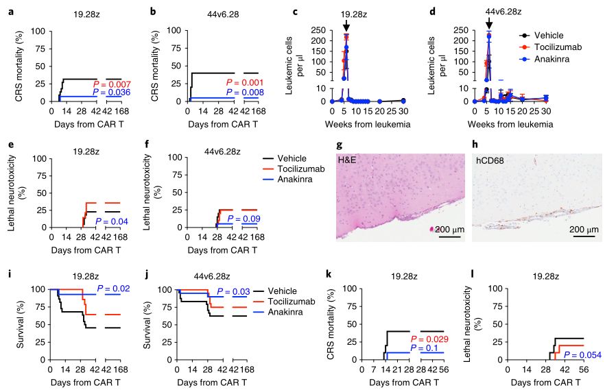 抑制IL-1可降低巨噬细胞产生CRS的风险__凤凰网