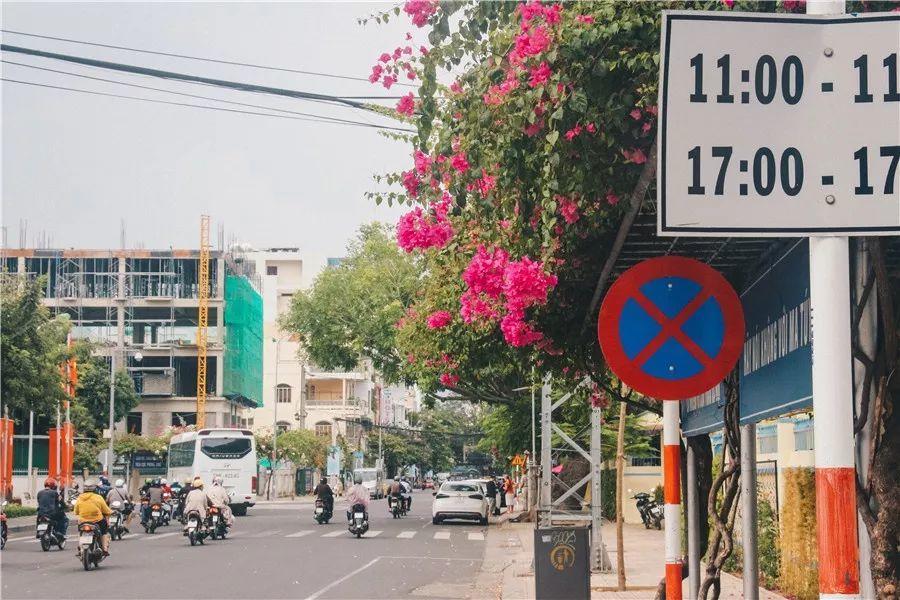 贝窝：越南的浪漫，你来过芽庄才会真的懂__凤凰网