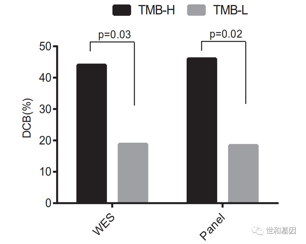 引领行业标准：免疫临床试验研究证实TMB与疗效相关性！__凤凰网