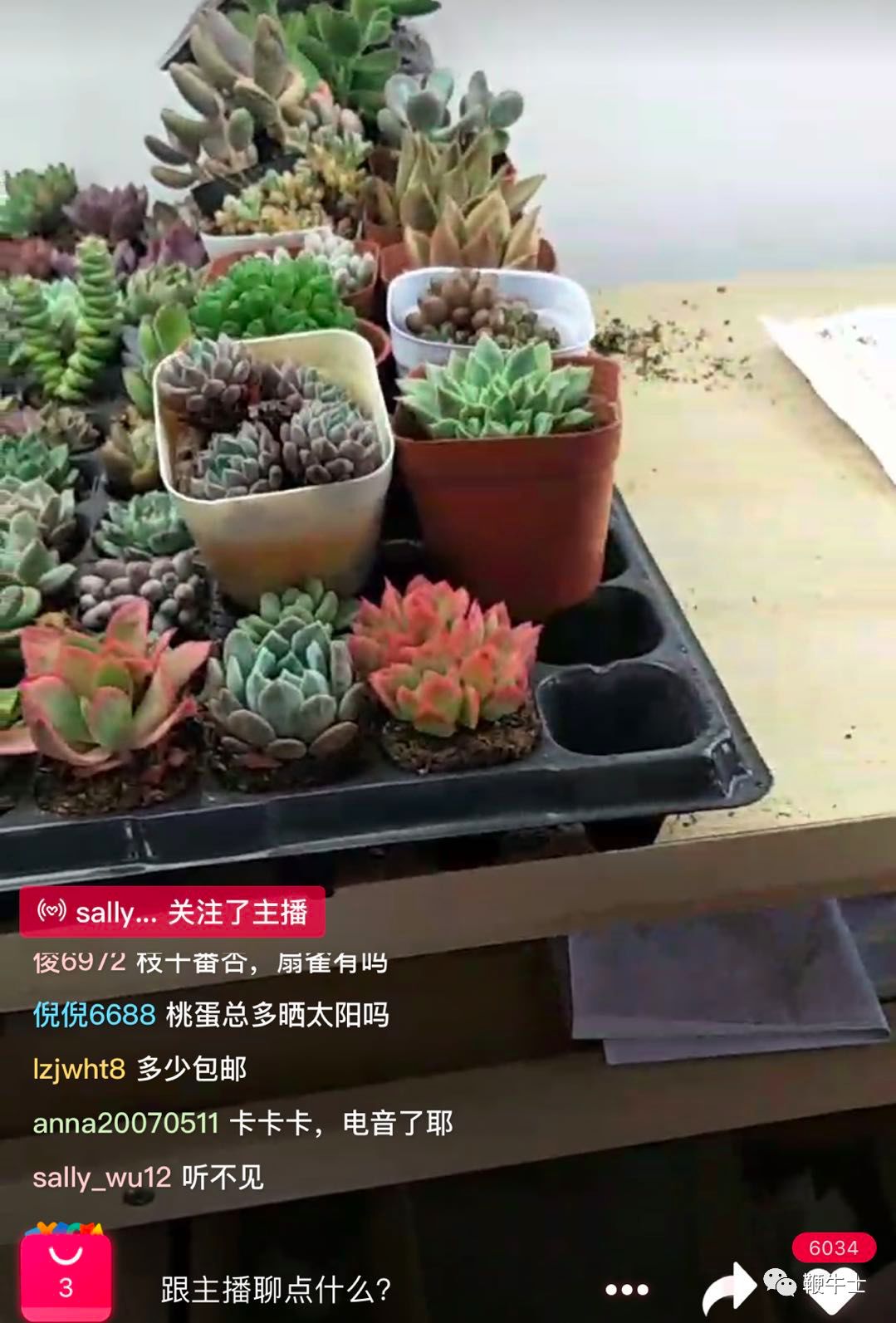 “自媒体村”转战直播带货，助农流量成兵家必争之地_凤凰网