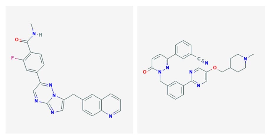 错过了ASCO？不要紧，我们为你准备了一份详细复盘__凤凰网