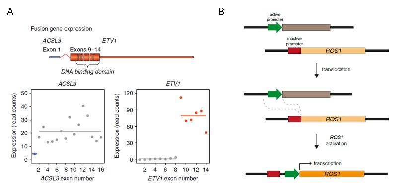 量身打造！RNA-Capseq更适合临床融合基因检测 | 经典文献分享__凤凰网