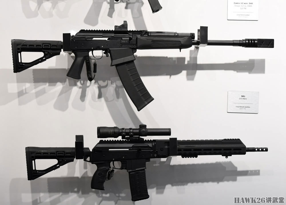 “军队2019”卡拉什尼科夫集团与中央精密机械研究所唱对台戏__凤凰网