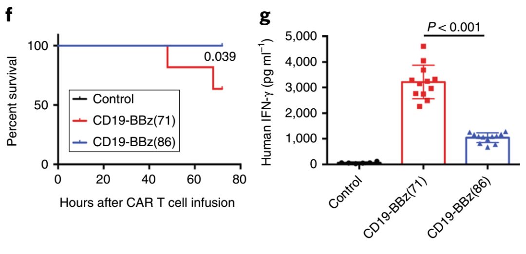 《自然·医学》重磅：驯服CAR-T！华人科学家升级CAR-T疗法__凤凰网