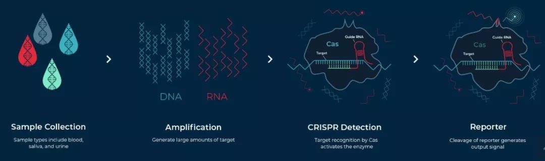 百度共同领投，张锋联合创立的新锐完成4900万美元A轮融资__凤凰网