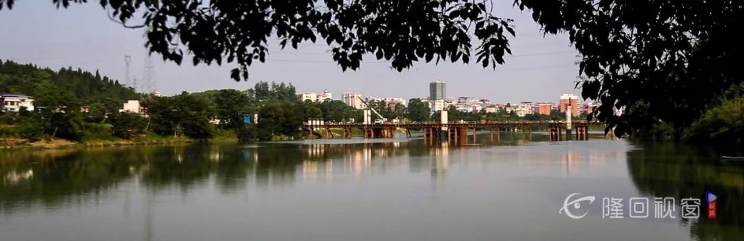 视频：沙坪古樟，隆回最大的樟树！__凤凰网