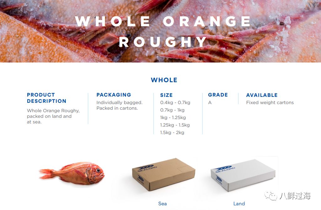 南半球最大深海渔业公司Sealord：新西兰渔业的旗舰！__凤凰网