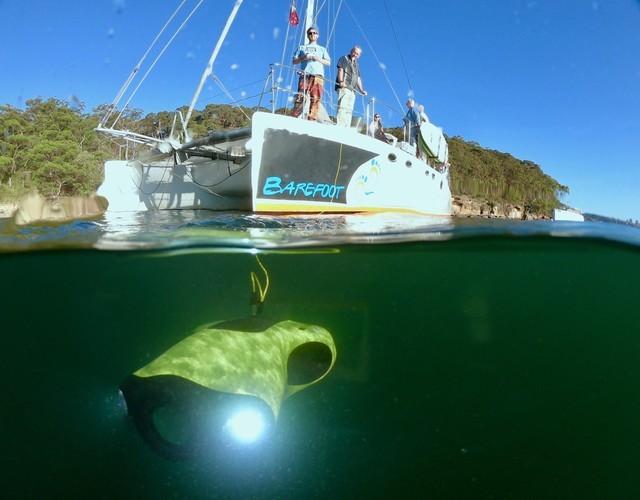 Best OF CES2019：鳍源FIFISH水下机器人__凤凰网