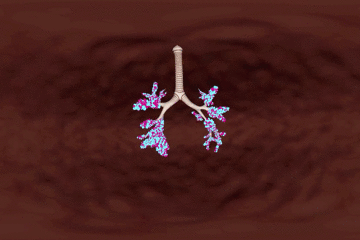 孙悟空飞进铁扇公主嘴里后都看到了什么？__凤凰网