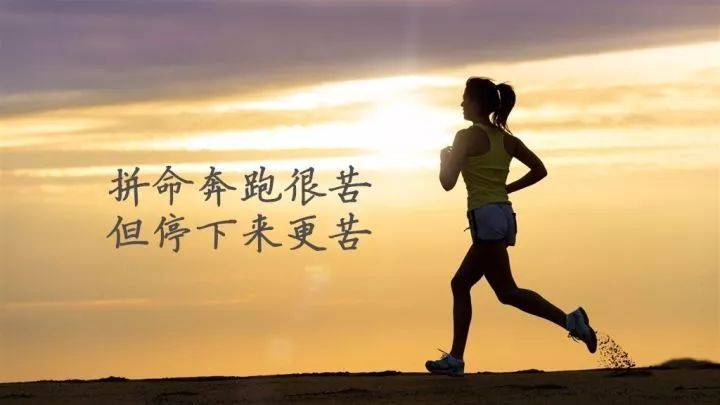 我们唯有加速奔跑，才能存活在这个时代__凤凰网