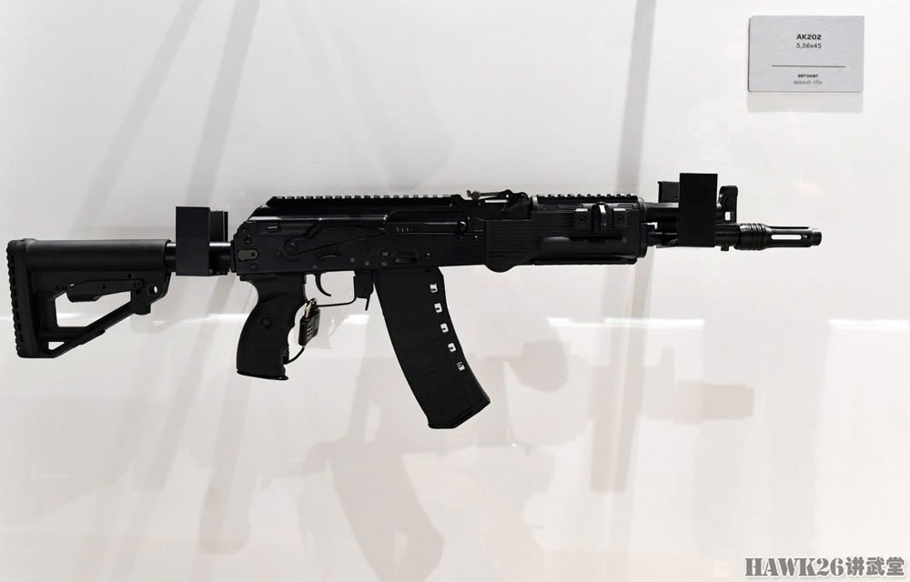 “军队2019”卡拉什尼科夫集团与中央精密机械研究所唱对台戏__凤凰网