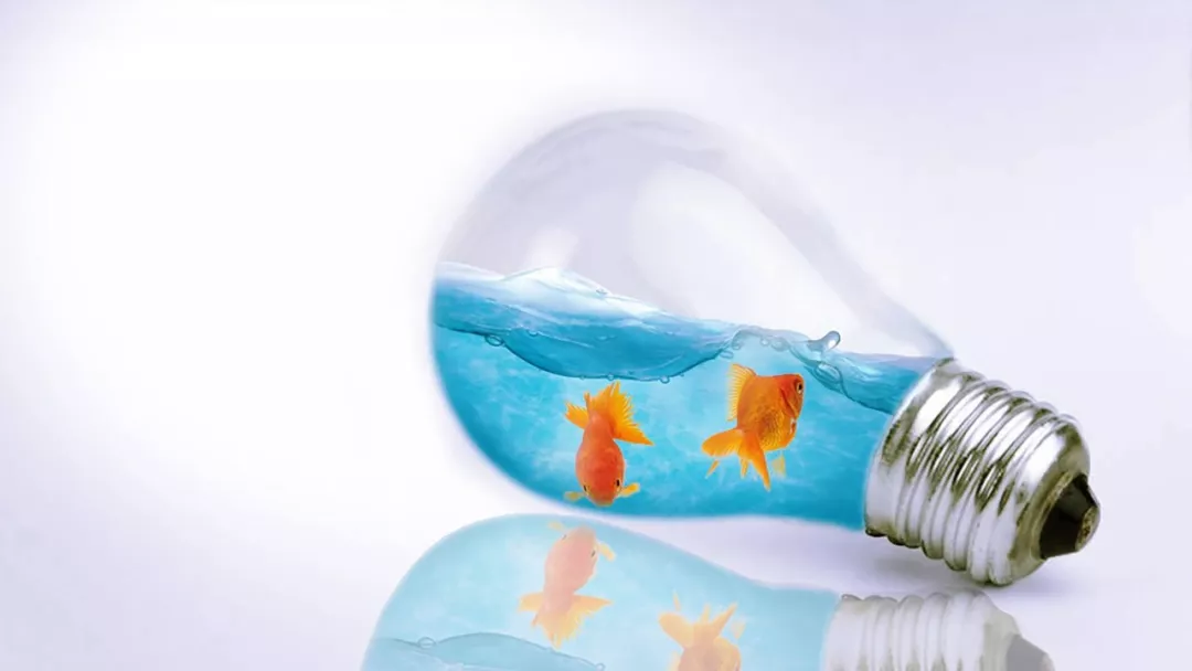 教育产业的未来是智能公司__凤凰网