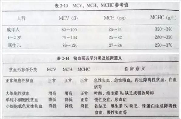 【检验临床面对面】容易忽略的MCHC_凤凰网健康_凤凰网