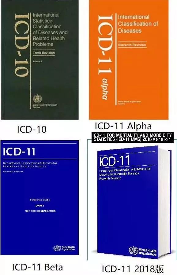 10年破壁终获捷报，中医“阴阳虚实”登上世界医学殿堂！__凤凰网
