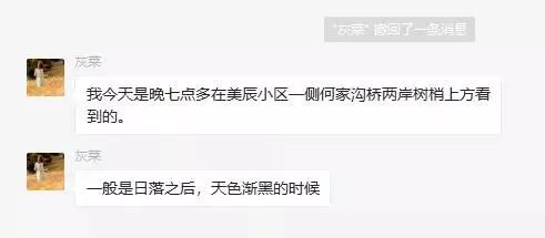奇观！哈尔滨何家沟“蚊卷风”冲天！你见过吗？｜市民：还以为天热大树被晒“冒烟”了__凤凰网