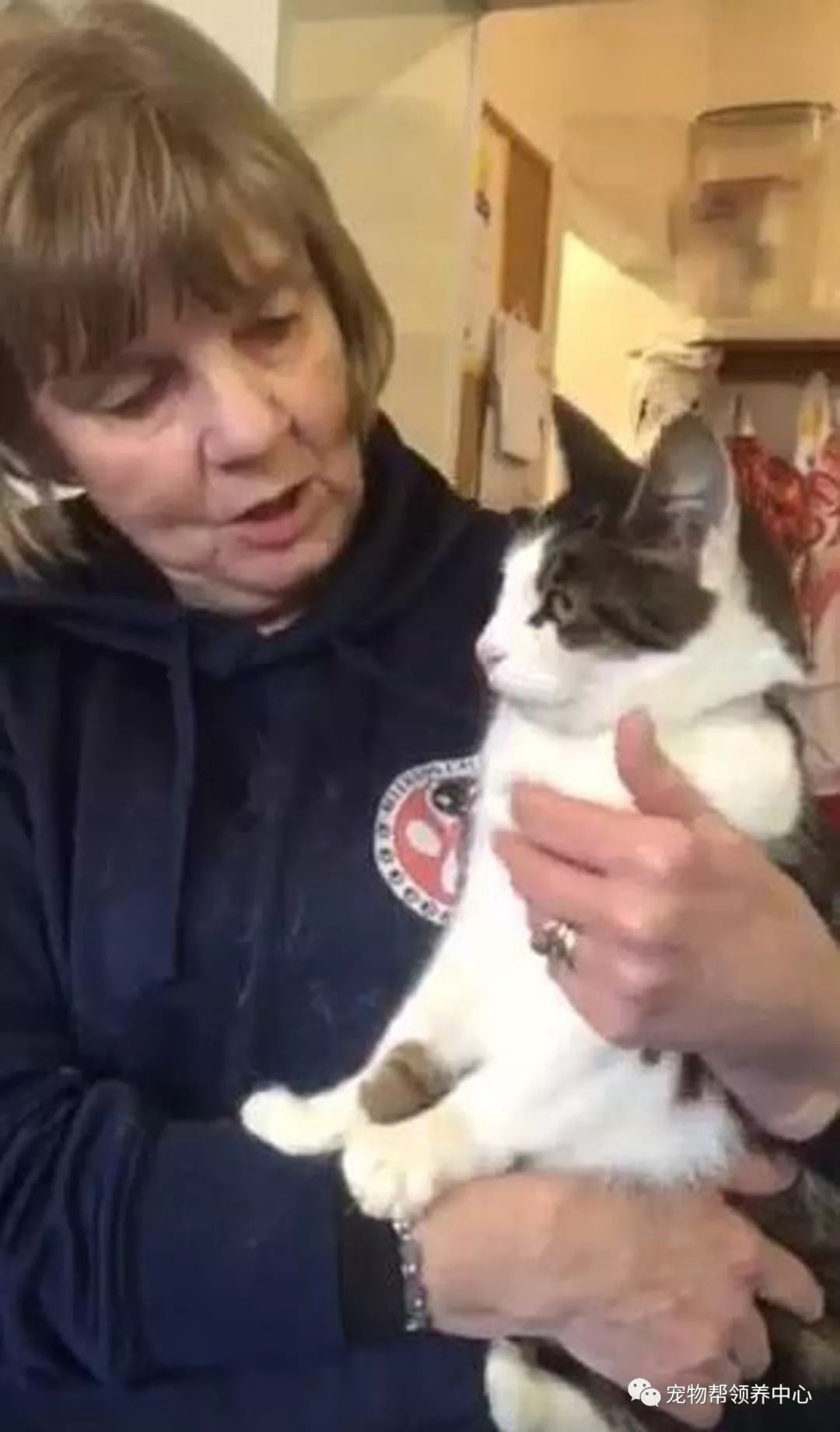 爱喵怕打针逃跑，十年后才回到主人身边：原来它一直在邻居家...__凤凰网