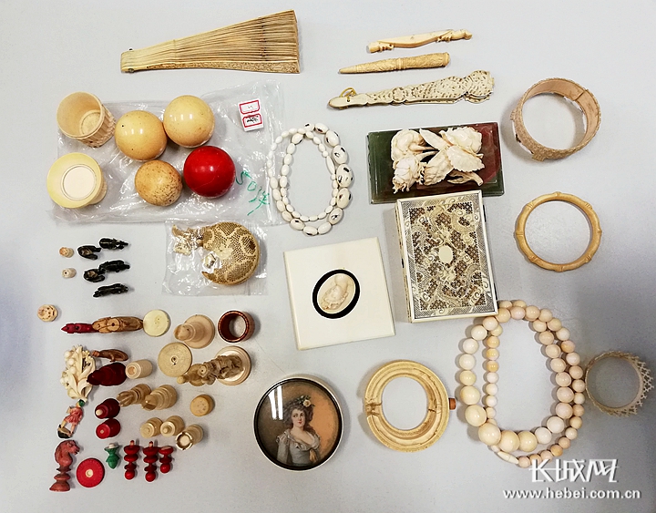 石家庄海关查扣象牙制品118件 打击走私“零容忍”__凤凰网