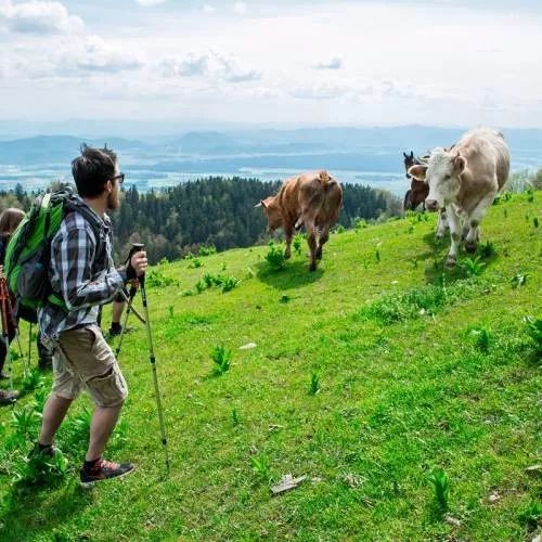 来斯洛文尼亚享受乡村假日，回归最质朴的生活状态__凤凰网