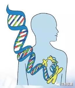 2019美国癌症研究协会（AACR）年会—新药前瞻__凤凰网