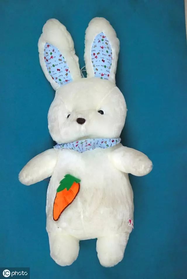 原来你是这样的实验兔__凤凰网