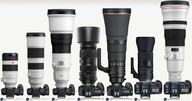 售价10万的索尼600mm F4镜头有多大？对比给你__凤凰网