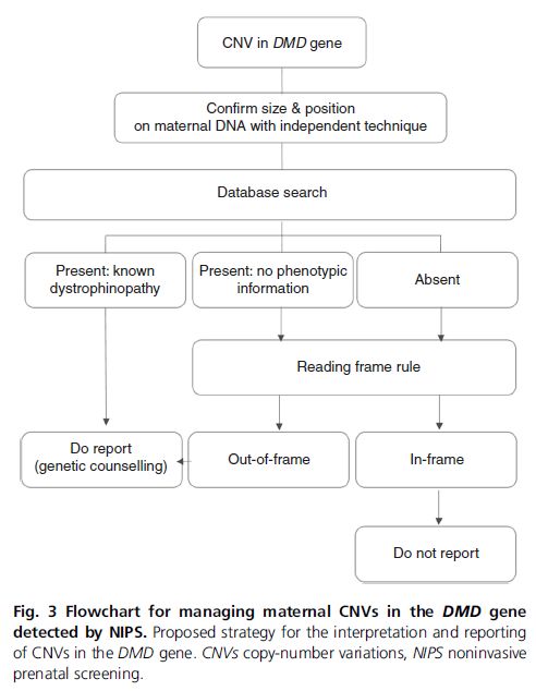 利用NIPS数据二次分析母亲DMD基因CNV变异__凤凰网