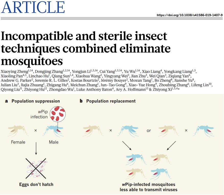 一个“默默无蚊”的世界，可能吗？__凤凰网