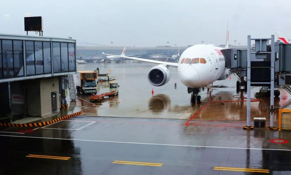 迪拜和香港，都将成为东航新机型的飞航城市__凤凰网