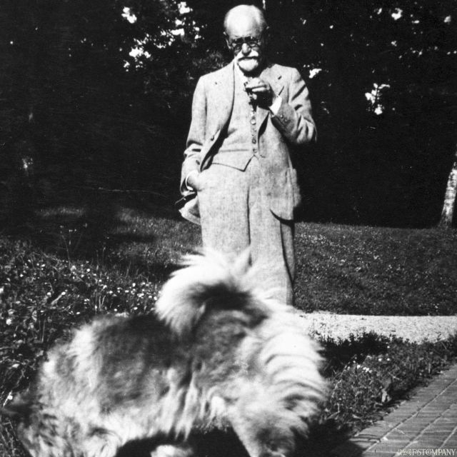 弗洛伊德周 | 弗洛伊德，一个爱狗之人__凤凰网