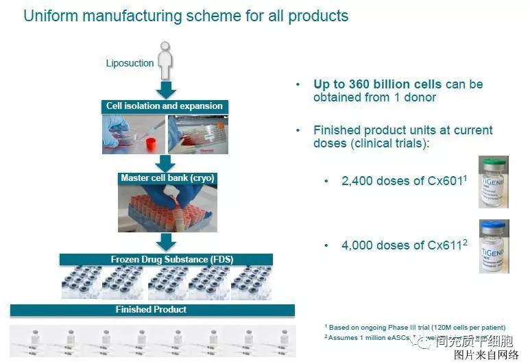 干细胞将是治疗克隆恩病的首选良药__凤凰网