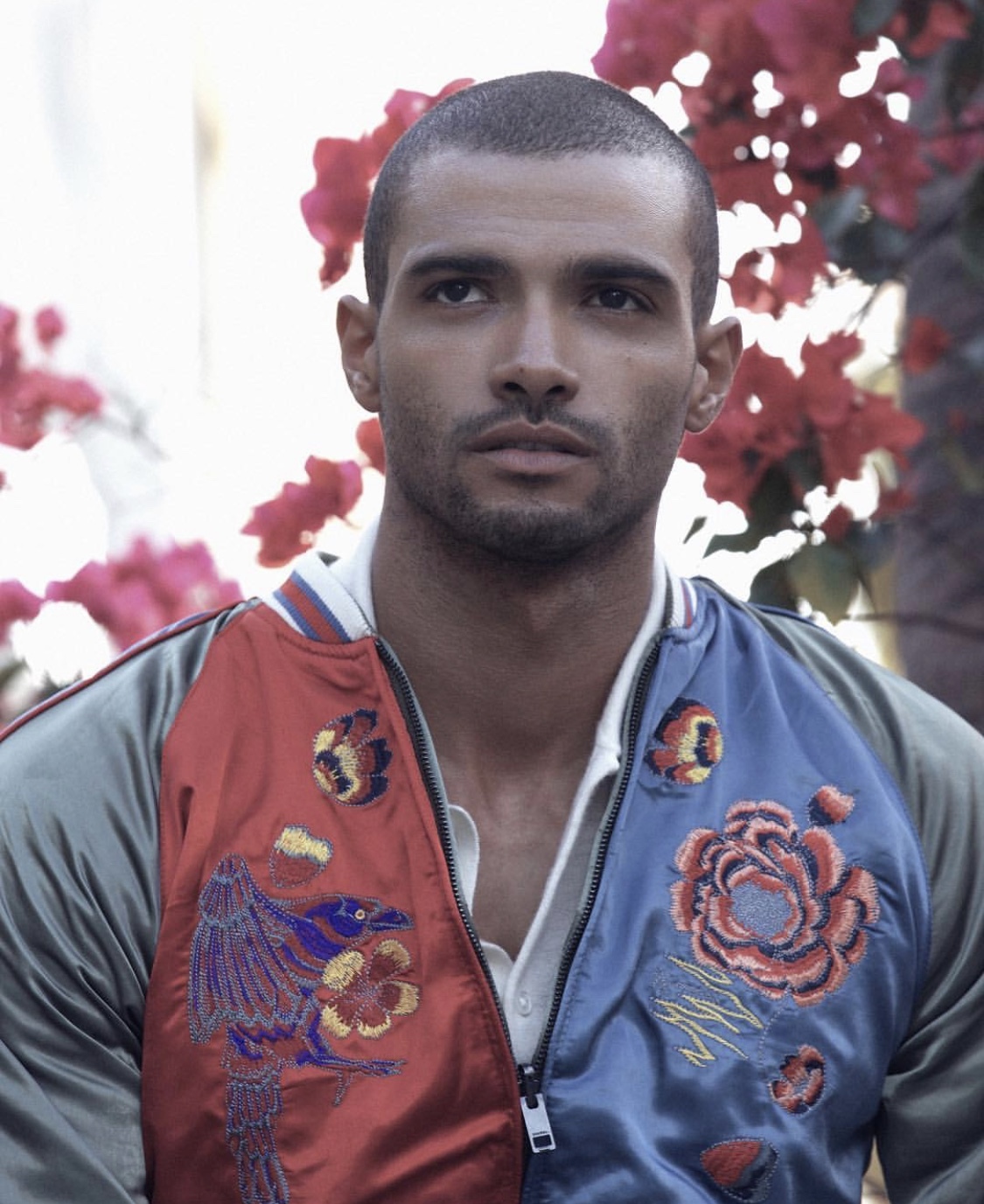 洛杉矶最幸福双胞胎Romain兄弟，想和他们做朋友！_凤凰网