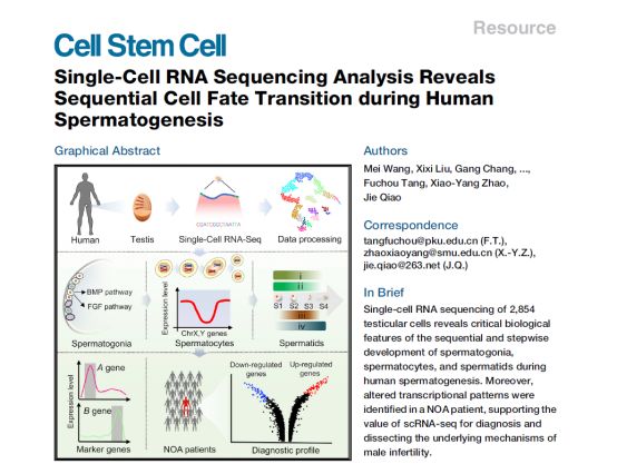 应用RNAscope®进行测序后验证-中国研究团队文章解读_凤凰网健康_凤凰网