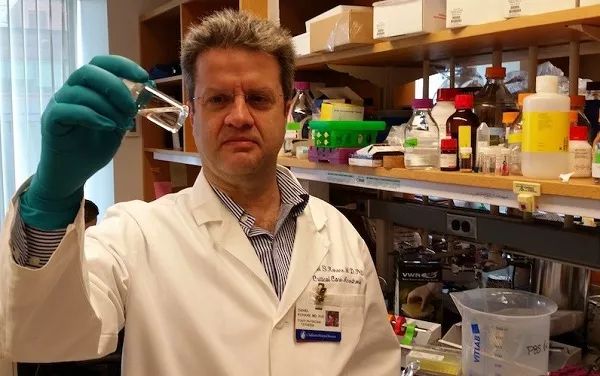 Nature子刊：反毒为药！河豚毒素或许成为新一代精准局部麻醉剂__凤凰网