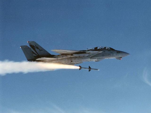 雄猫天书！F-14战斗机的故事和图集（多图杀猫！）__凤凰网