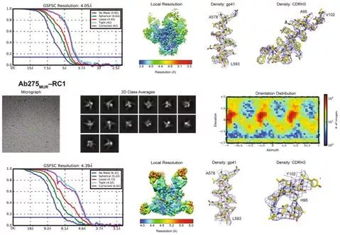 2019年6月HIV研究亮点进展__凤凰网