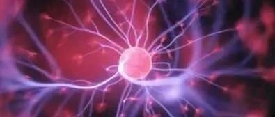 Front Cell Neurosci：一种新技术有望通过激活癌细胞来治疗癌症_凤凰网健康_凤凰网